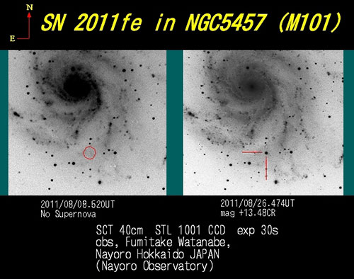 SN 2011fe：なよろ市立天文台 きたすばる