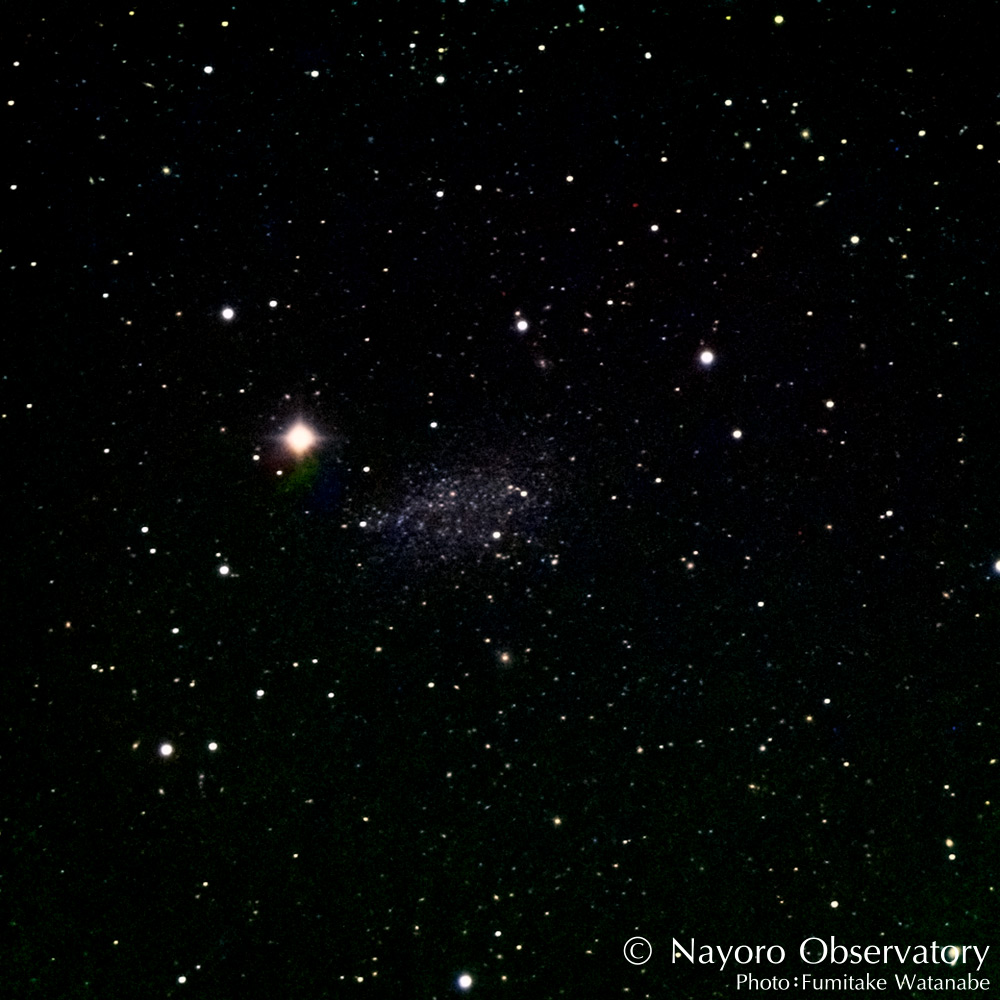 UGC 5364（Leo III）：なよろ市立天文台 きたすばる